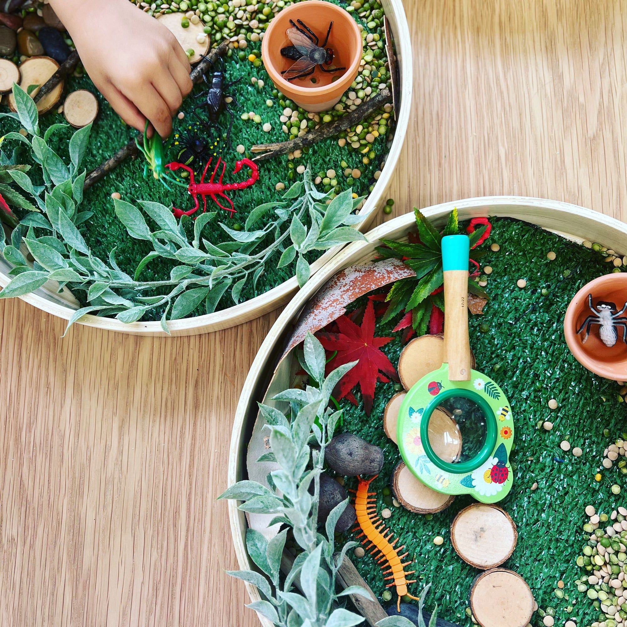 Trays for Plays – traysforplays