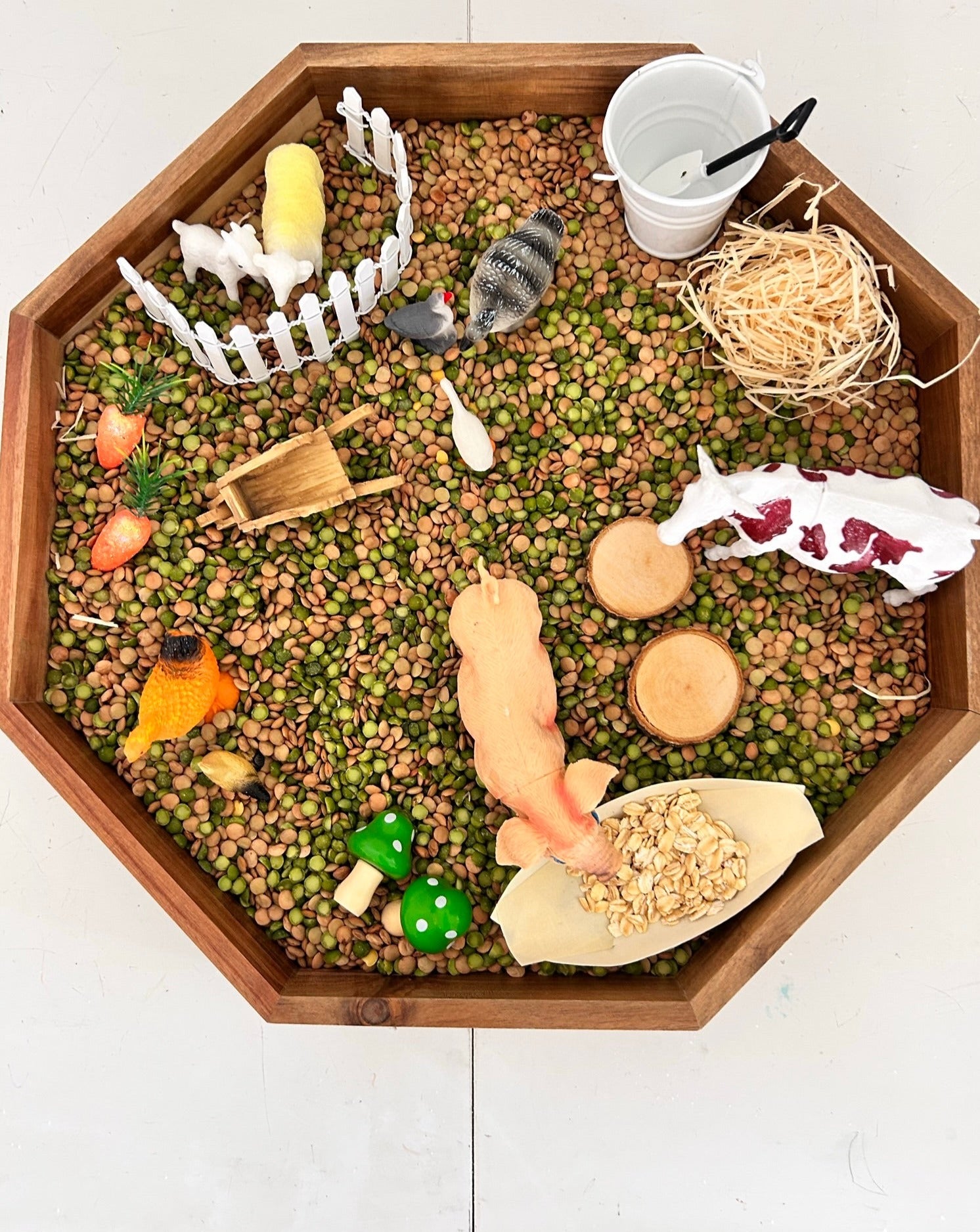 Farm Animals Sensory Kit – traysforplays