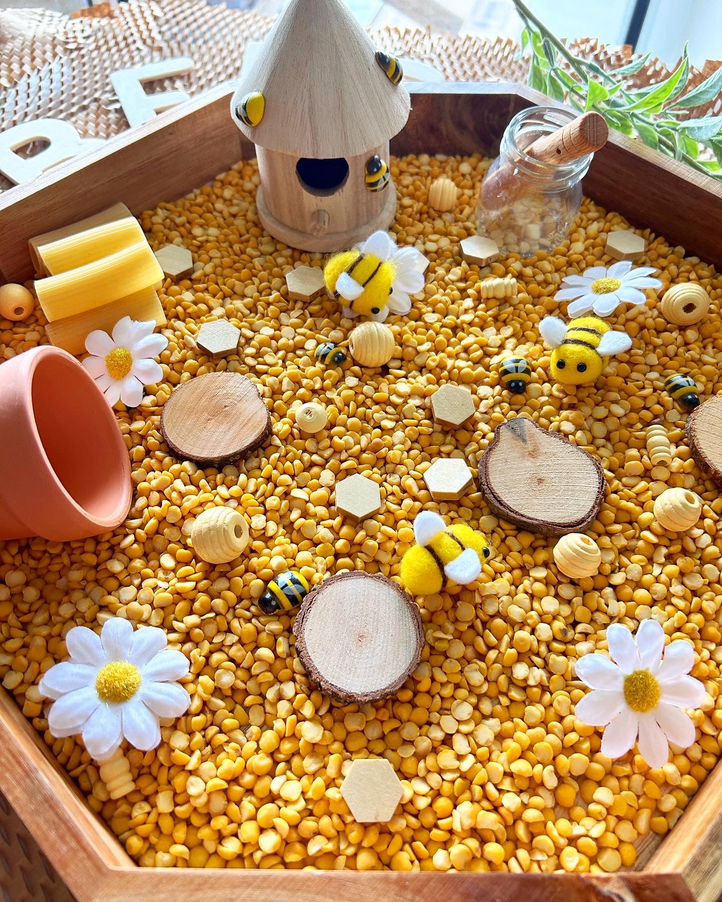 Honey and Bees sensory kit – traysforplays
