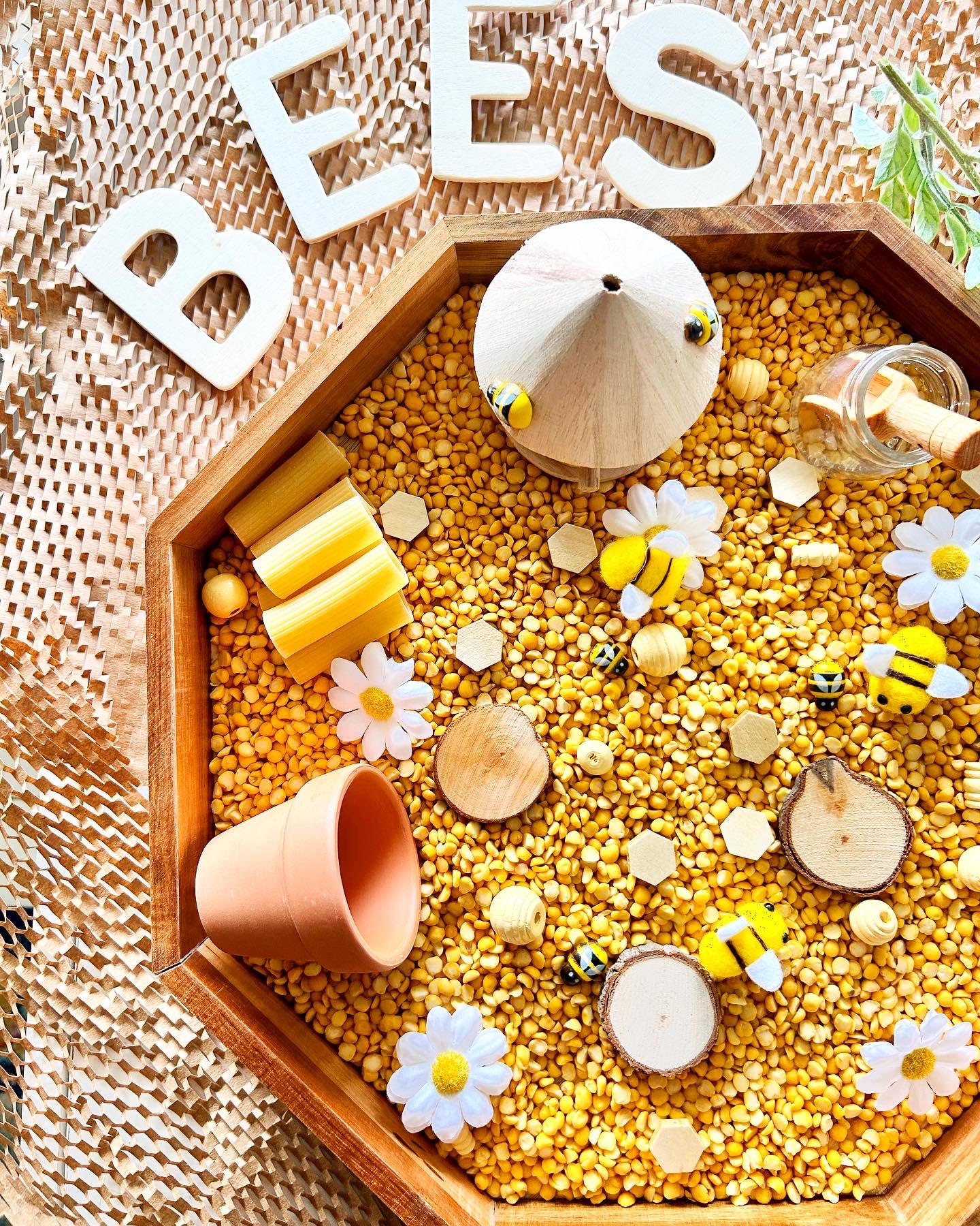 Honey and Bees sensory kit – traysforplays