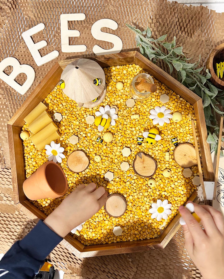 Honey and Bees sensory kit – traysforplays