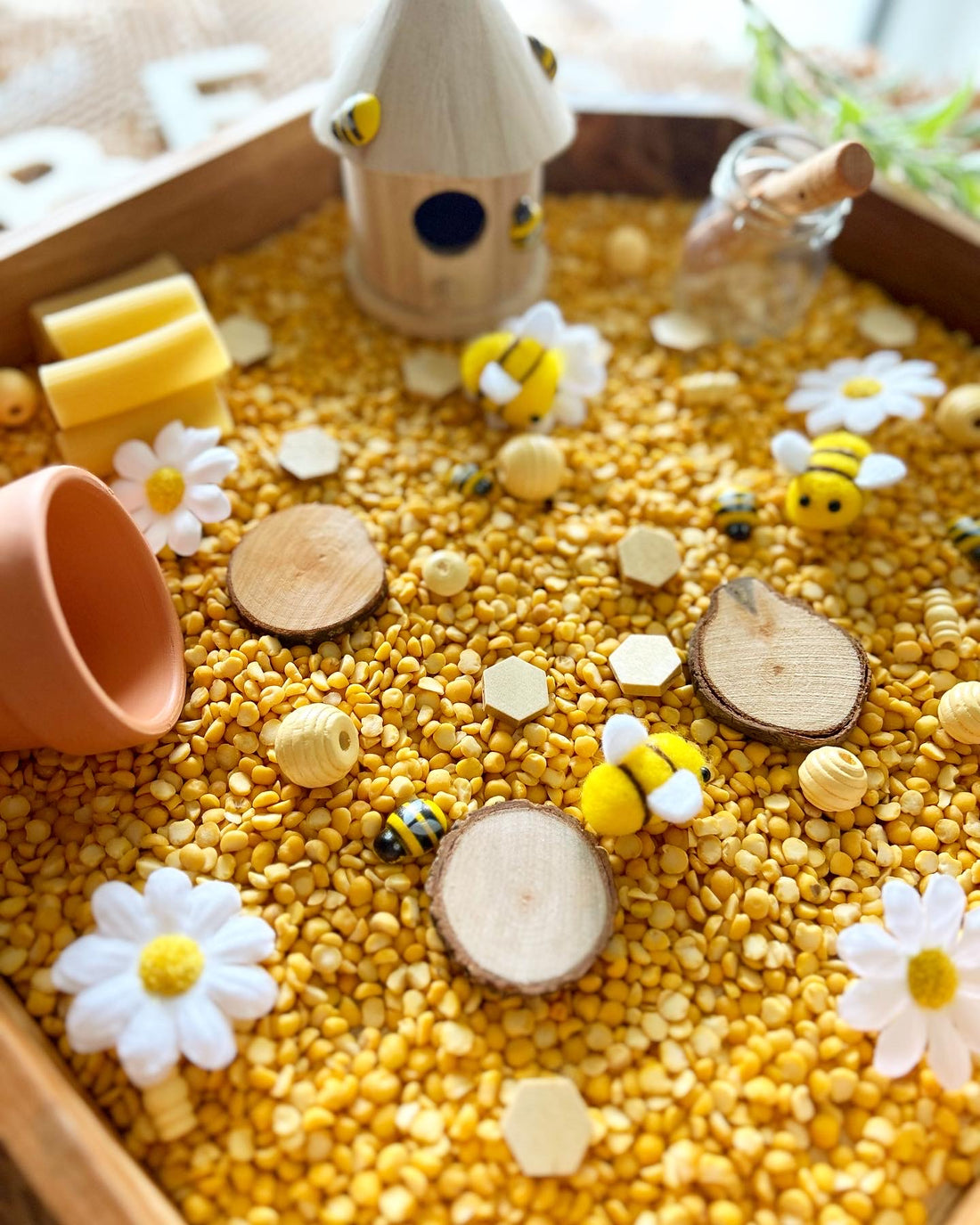Honey and Bees sensory kit – traysforplays
